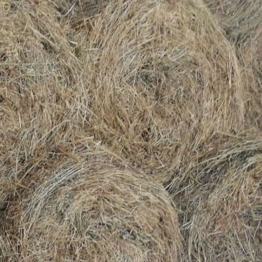 Продам сено в рулонах, мелкое разнотравие