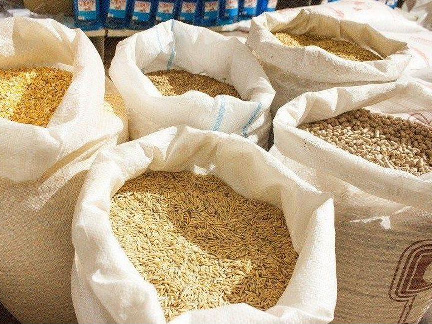 Корма для сельскохозяйственных животных