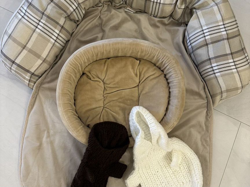 Новые лежанки и одежда для мелких пород собак