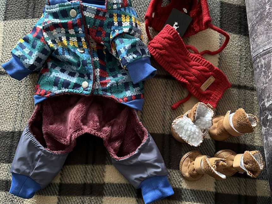 Одежда для маленьких собак