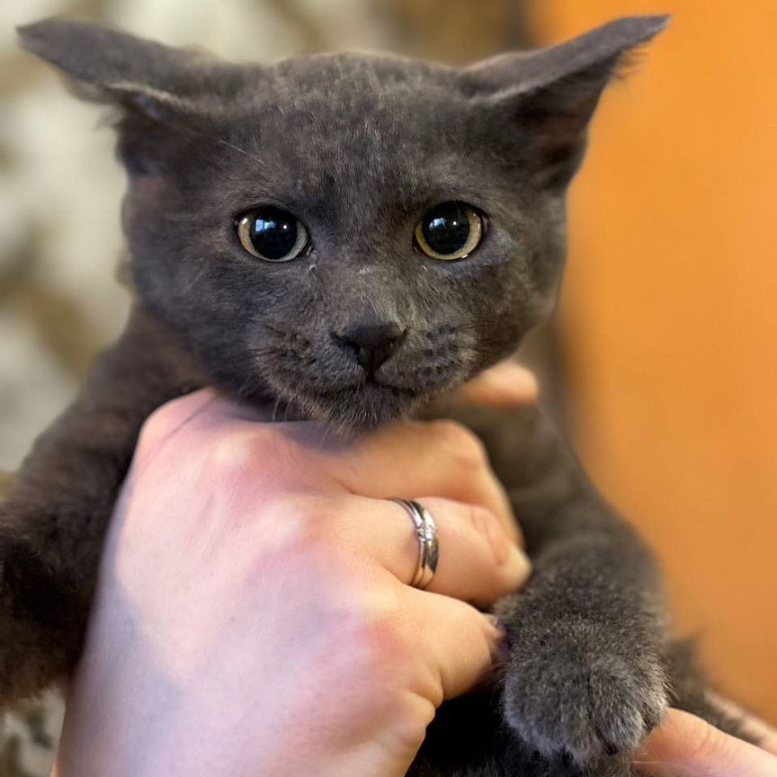 Мальчик 3 месяца