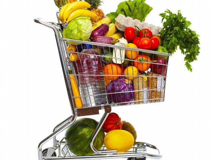 Корм для собак