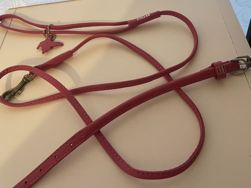 Ошейник и поводок Collar
