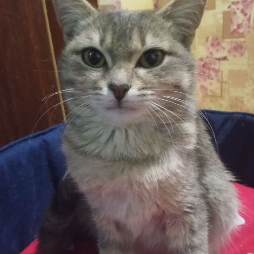 Невероятная ласкуша