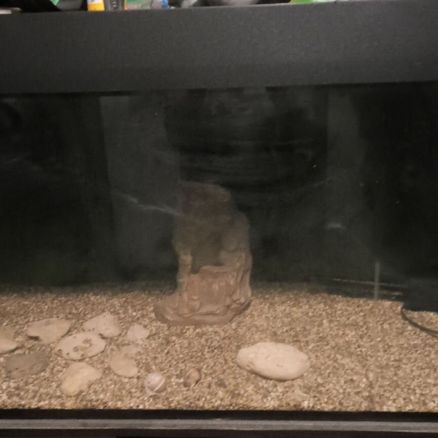 Отдам аквариум 320л