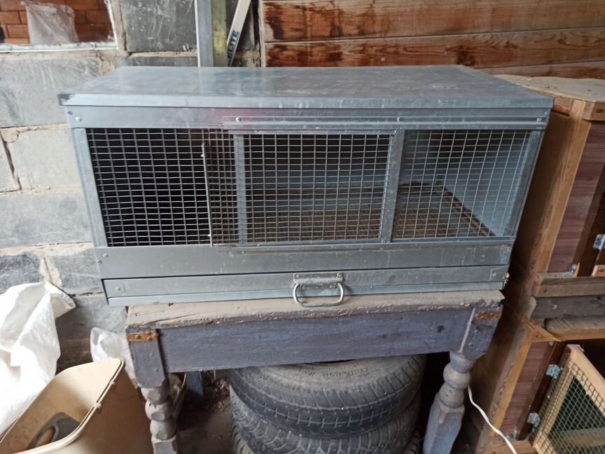 Брудер для цыплят