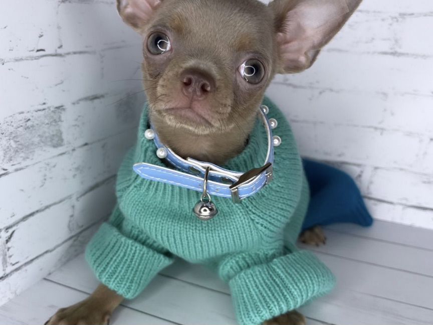 Шикарный mini Лиловый малыш