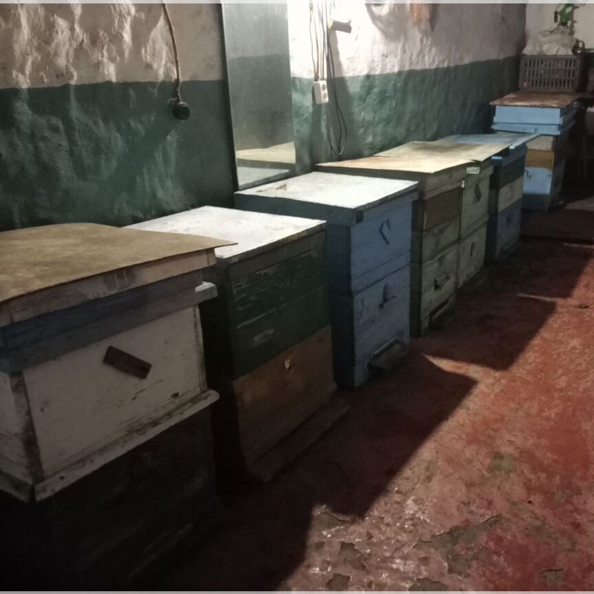 Ульи для пчел