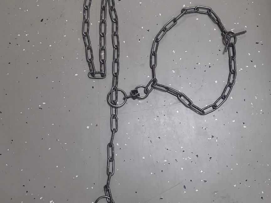 Цепь для привязи скота