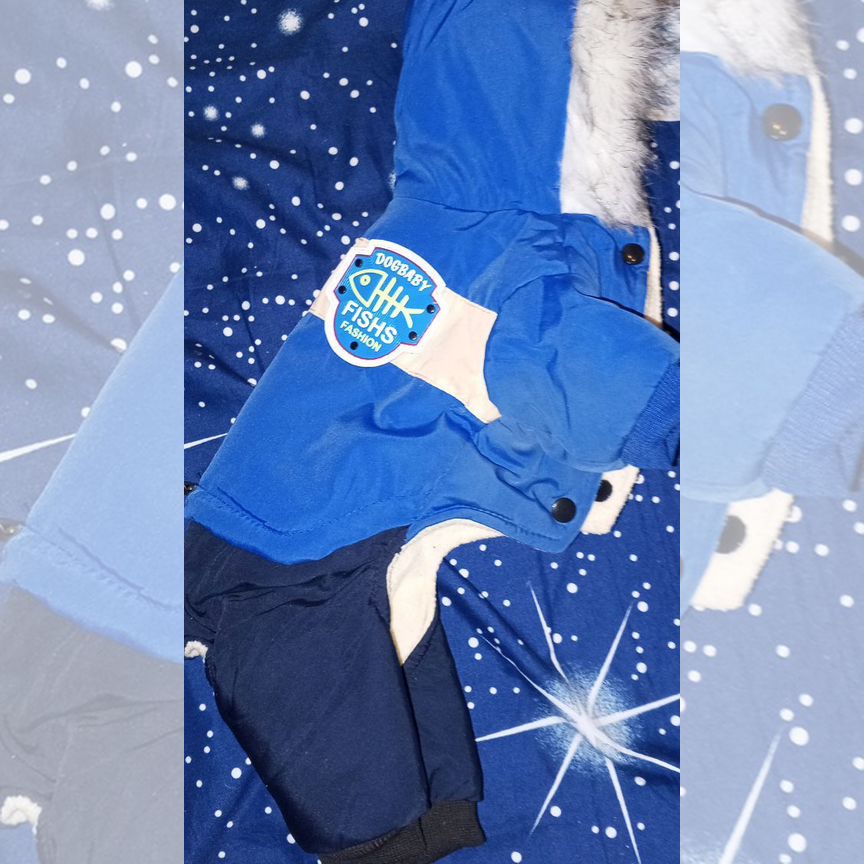 Зимний комбинезон для маленьких собак