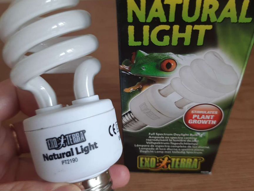 Уф лампа для животных