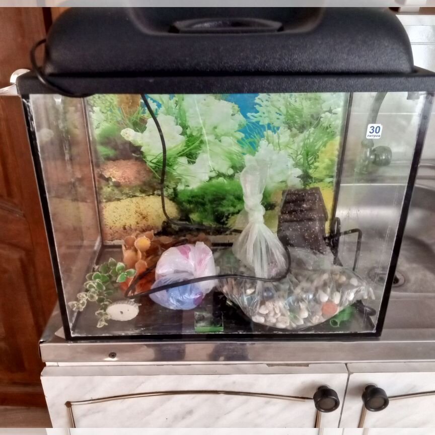 Аквариум