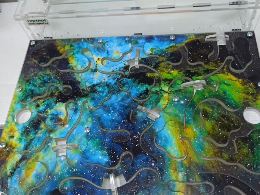 Комплект формикарий (муравьиная ферма)