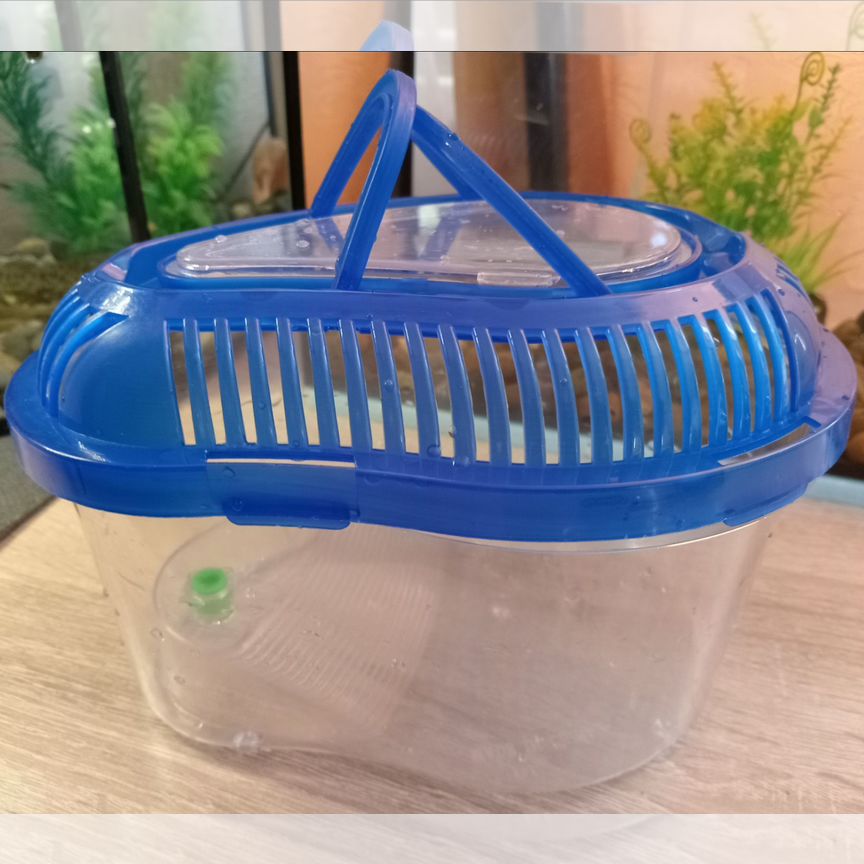 Аквариум переноска пластиковый