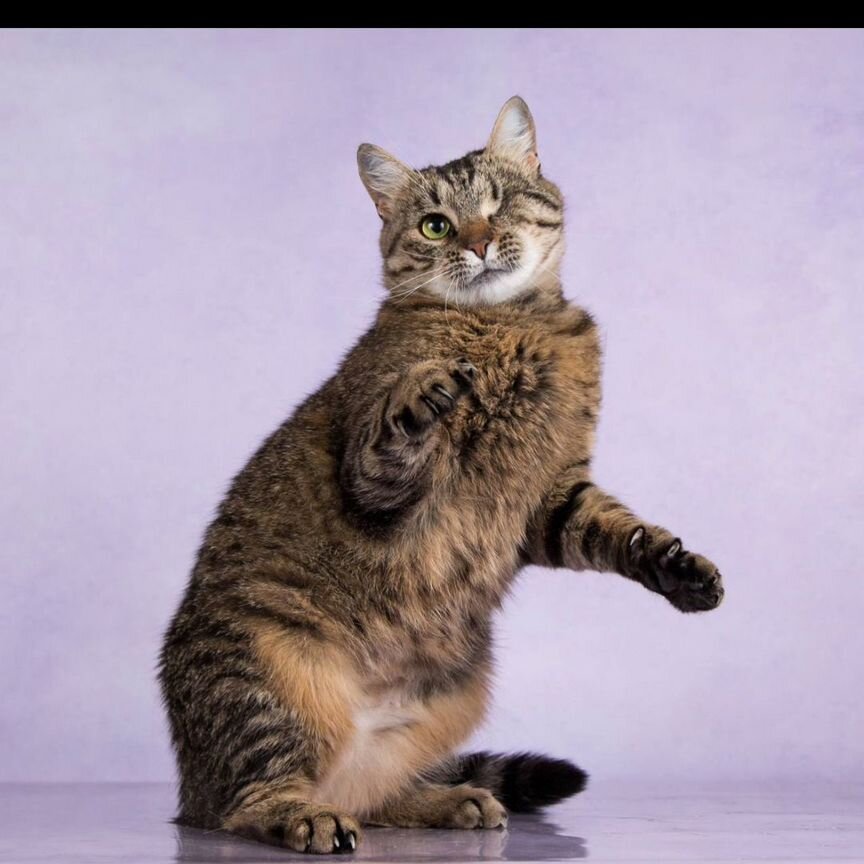 Особенная Кирюша