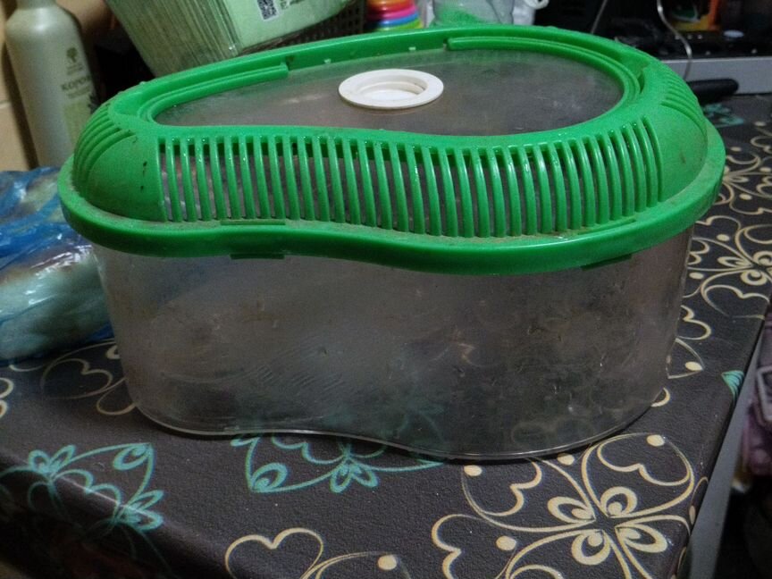 Террариум для улиток и черепах