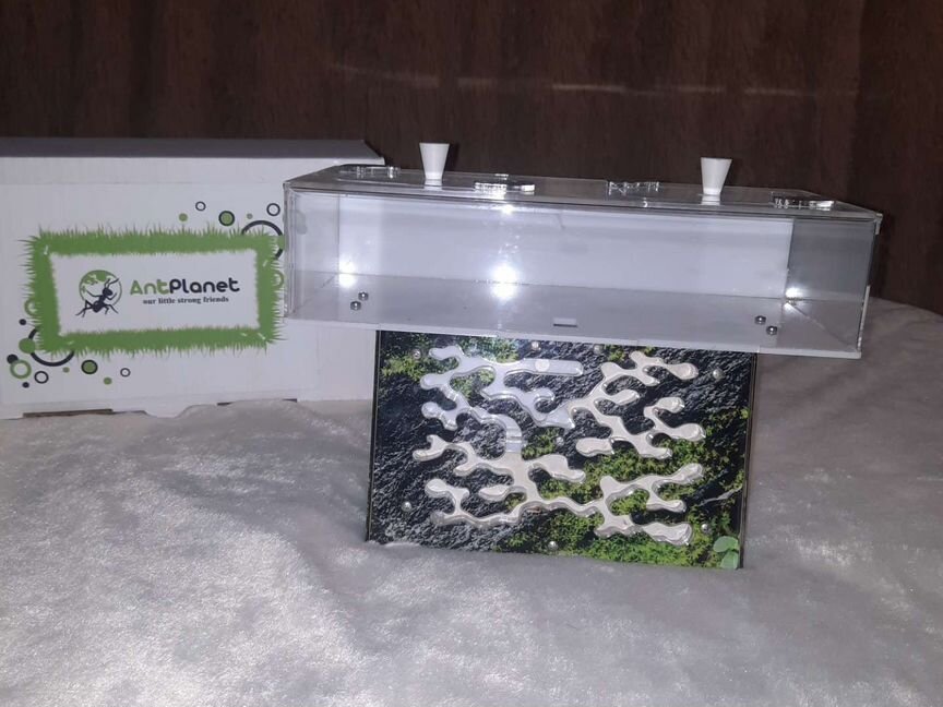 Муравьиная ферма antplanet. торг