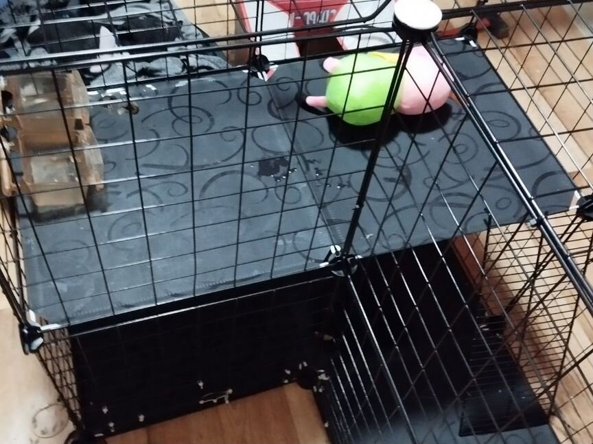 Клетка для грызунов