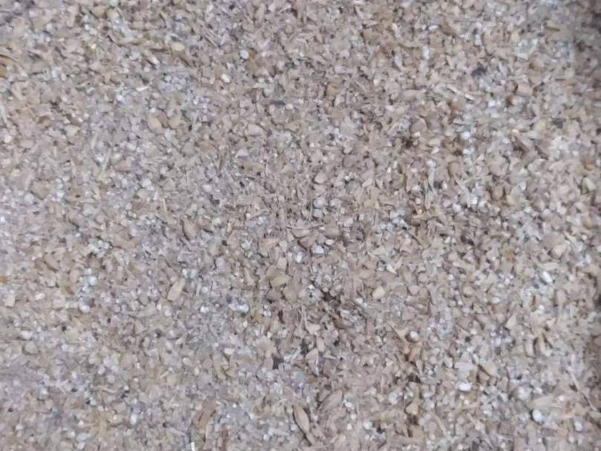 Пшеница овес ячмень дробленка ячменя