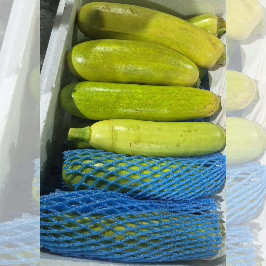 Овощи на корм животным