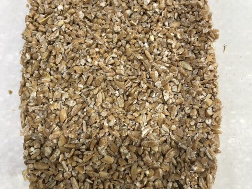 Крупа пшеничная в мешках по 50, 10, 5 кг