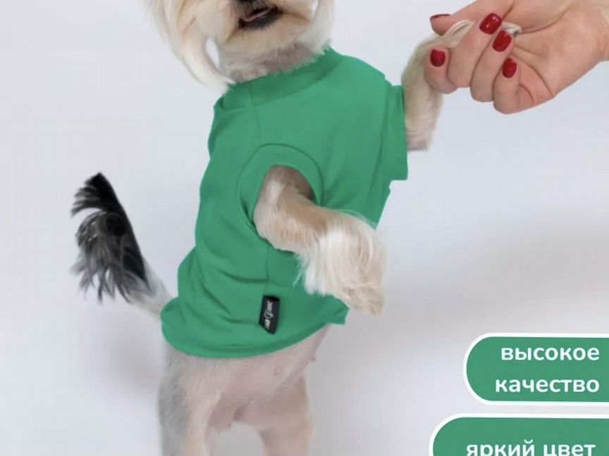 Футболка для собаки