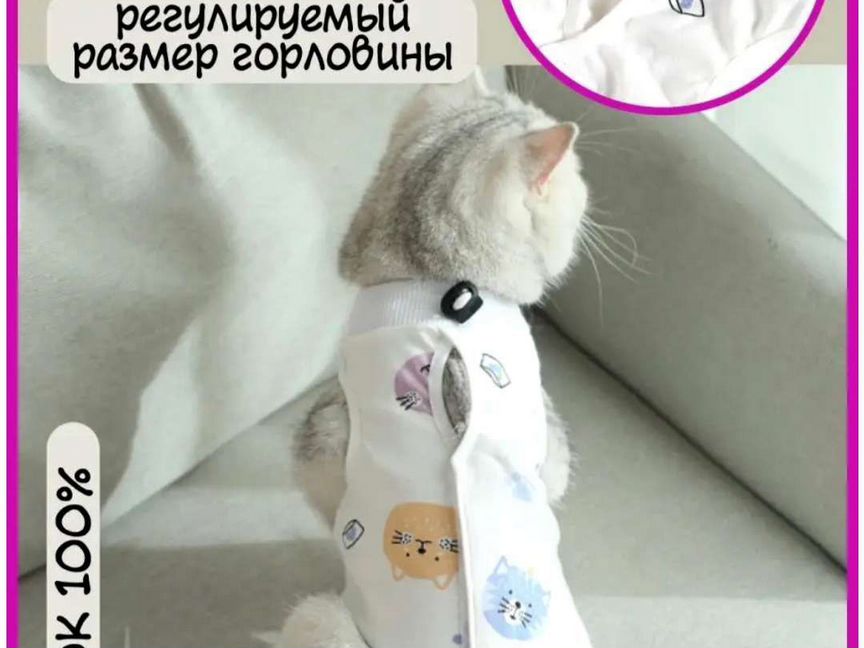Попона для кошек