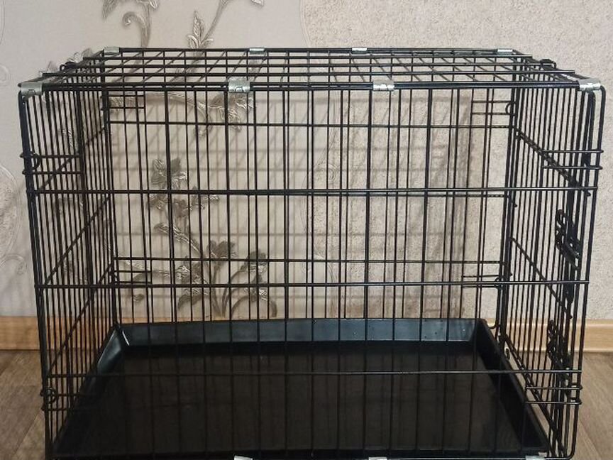 Клетка для кошек и собак (аренда)