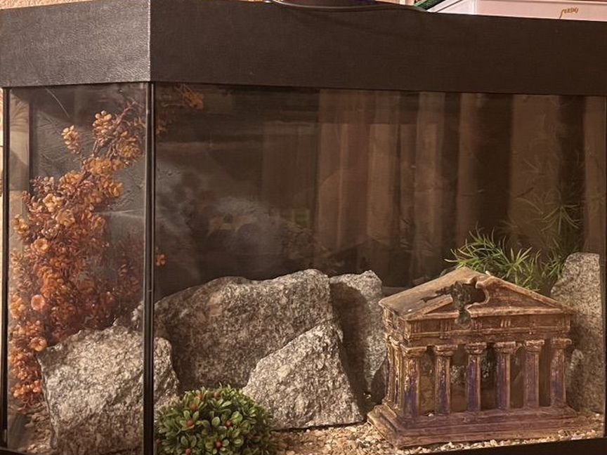 Аквариум террариум на 170 л с тумбой