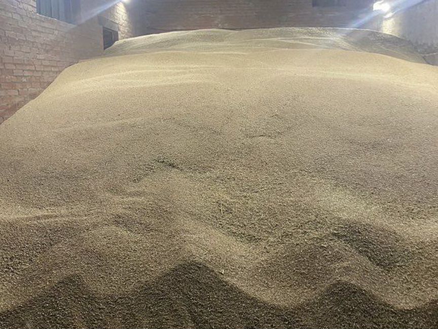 Зерно пшеница ячмень