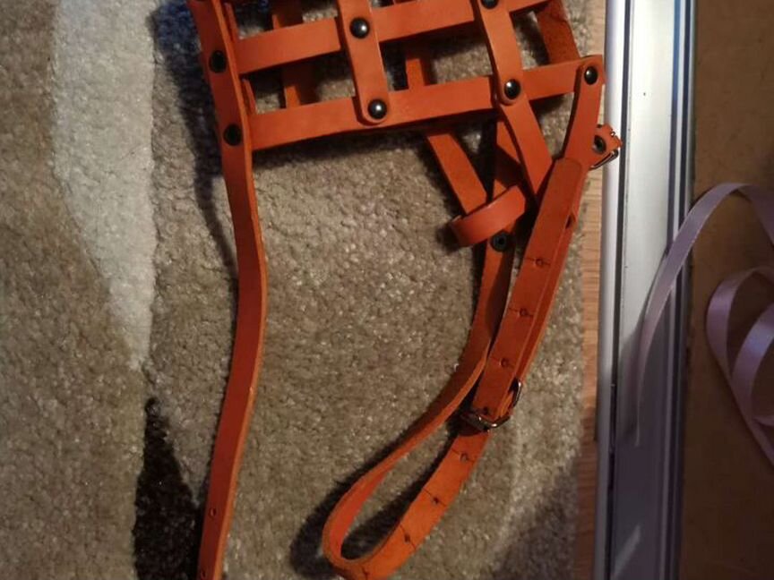 Намордник для средней собаки