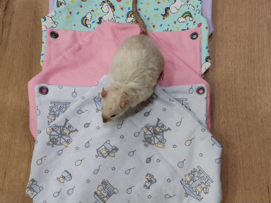 Домик/гамак для крыс, ежей, мышей