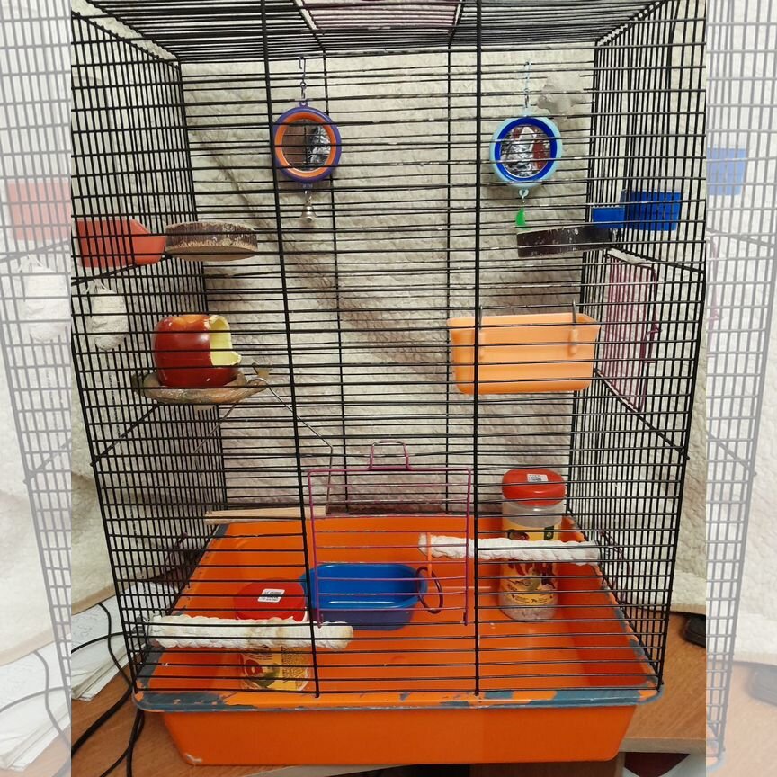 Клетка для средних попугаев