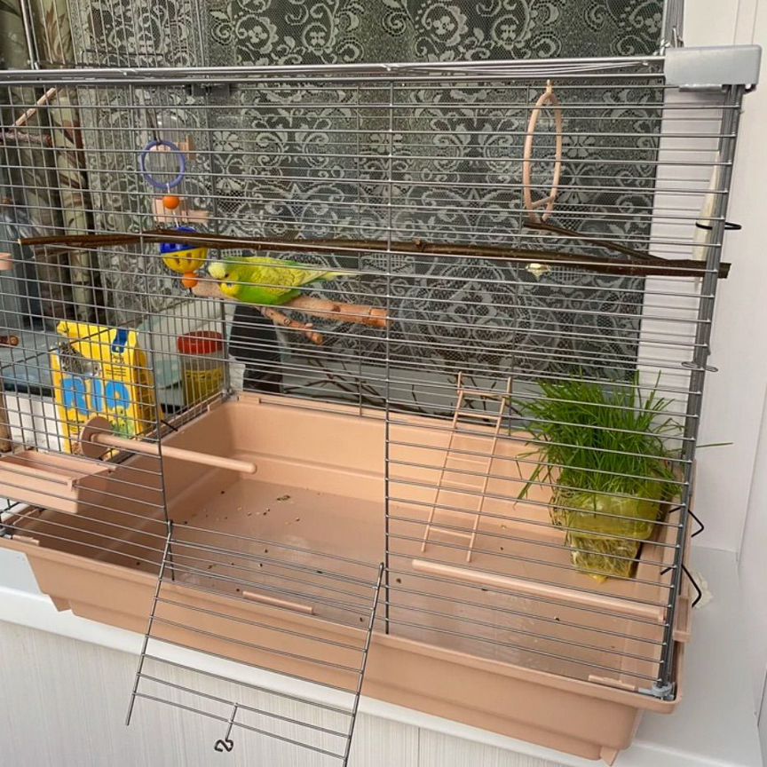 Клетка для птиц
