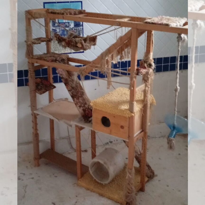 Кошкин дом
