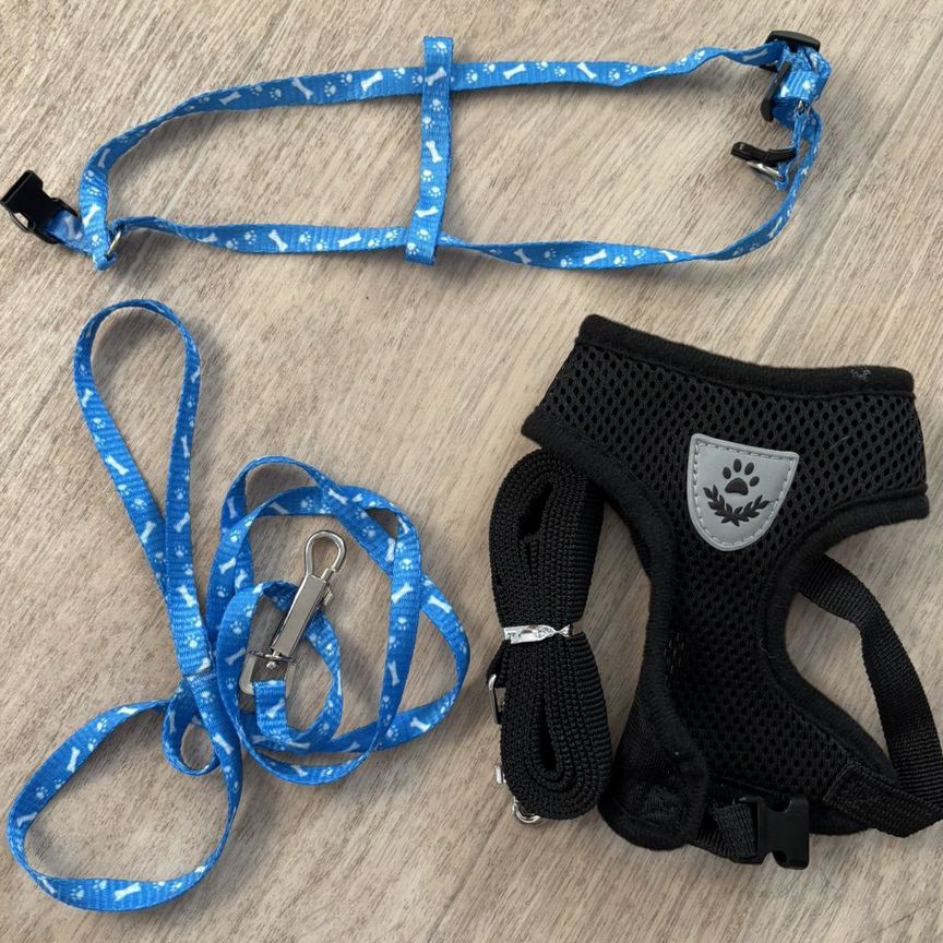 Шлейка для собаки
