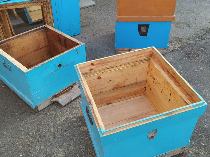 Ульи дадан 12