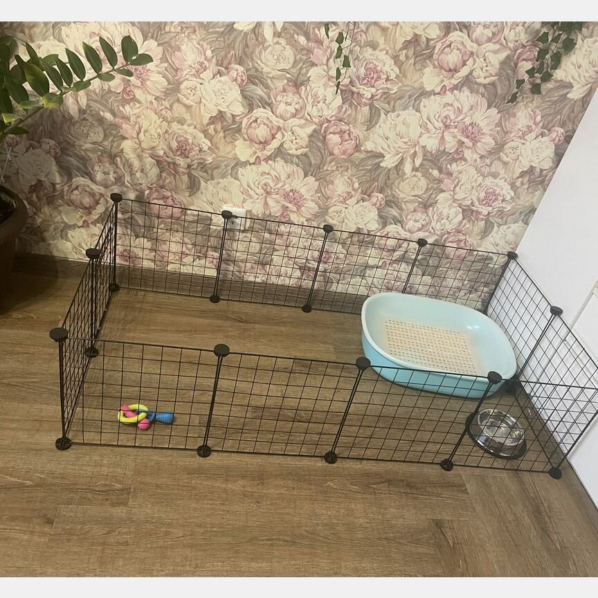Клетка доя животных