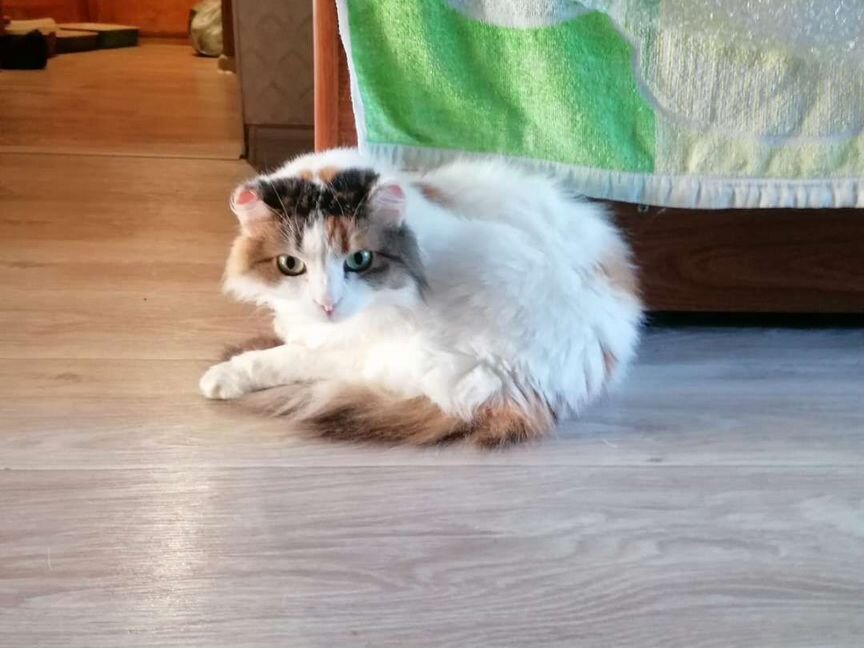Красава
