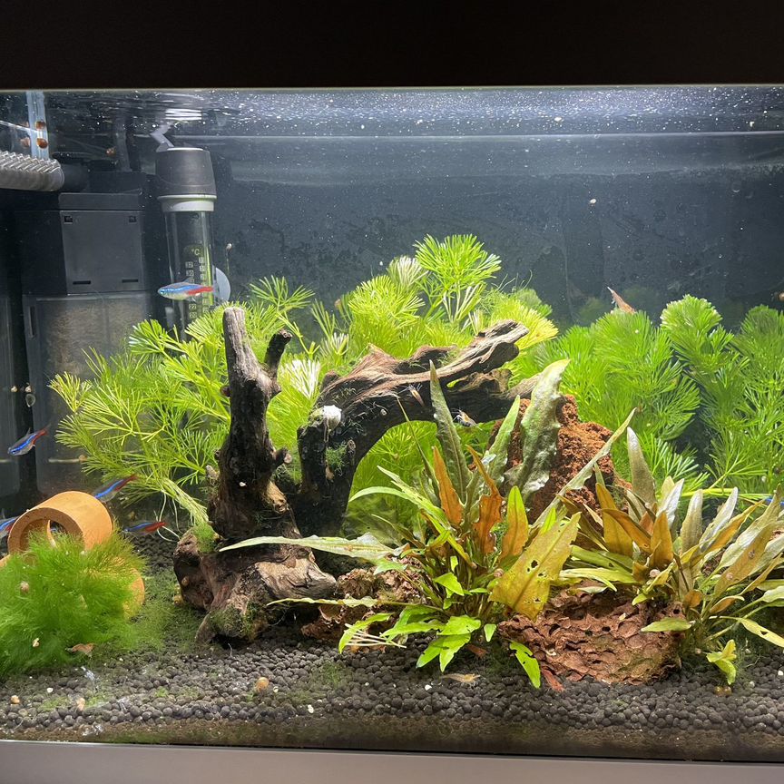 Аквариум Aquael leddy 40