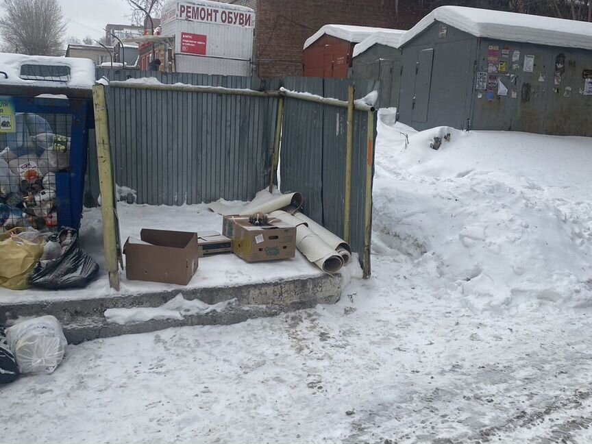 Брошенные щенки