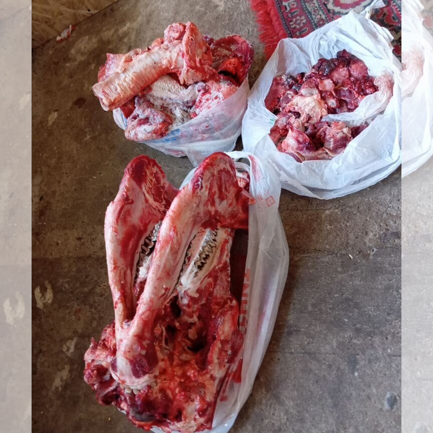 Мясо для собак