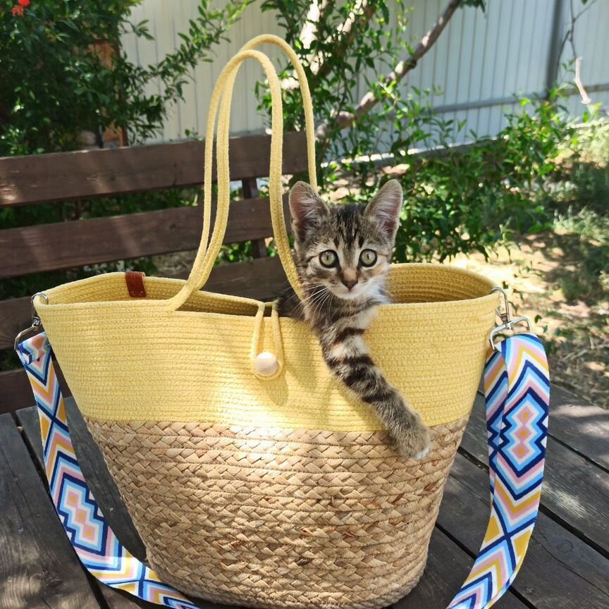 Лежанка, сумка