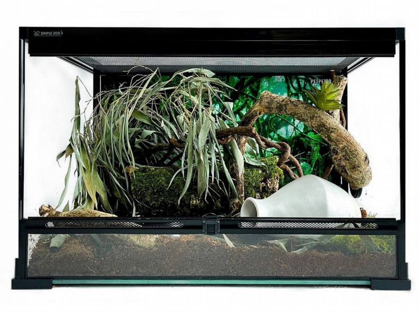 Террариум для змеи с наполнением