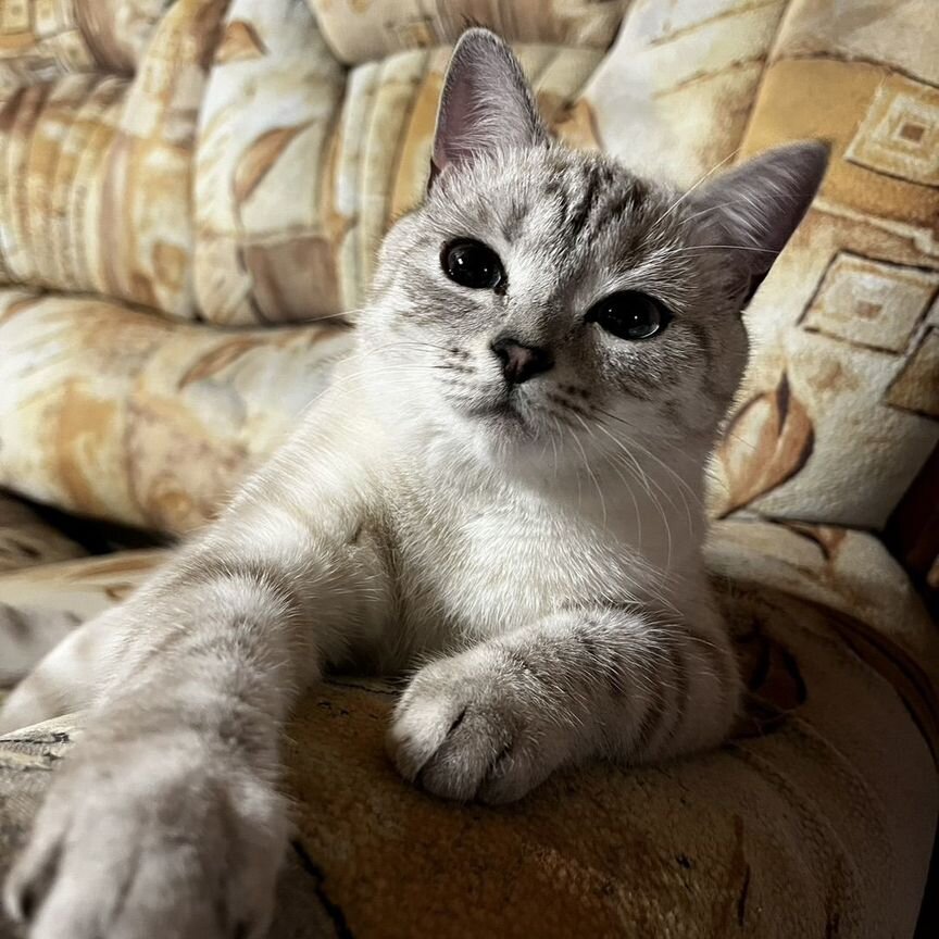 Тайская