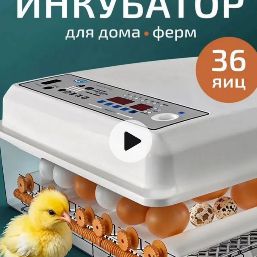 Инкубатор для яиц автоматический