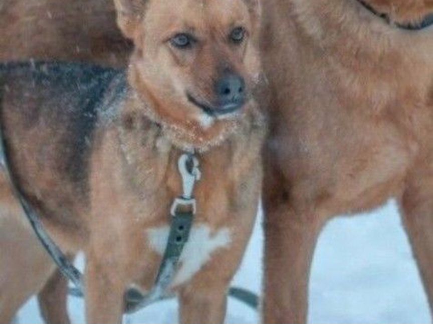 Очаровательная Тина ждет вас