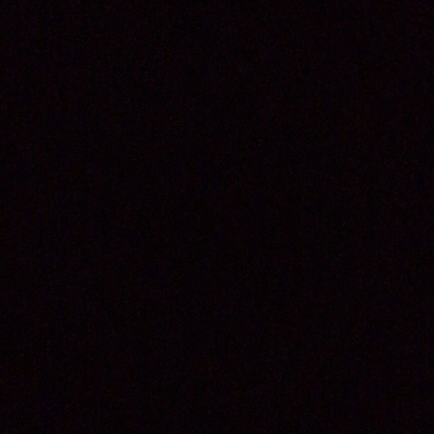 Поиск веслоухой британской кошечки