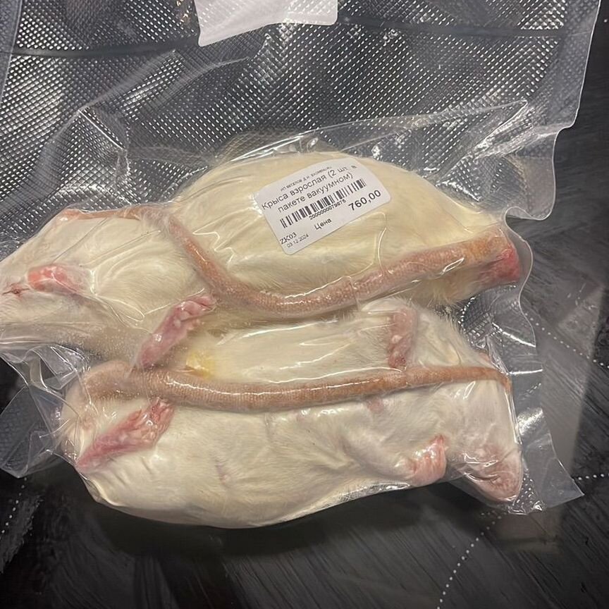 Крысы заморозка