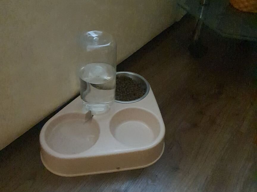 Миска для кошек